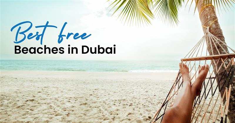 Best Free Public Beaches in Dubai: Complete Guide 2024| Stage Properties